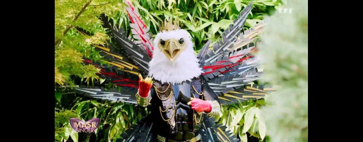 Vidéo : Portrait de l'Aigle, personnage de "Mask Singer" sur TF1 ...