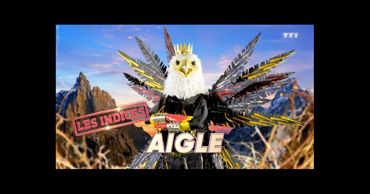 Mask Singer – Aigle : Tous les indices sur la star derrière le masque ...