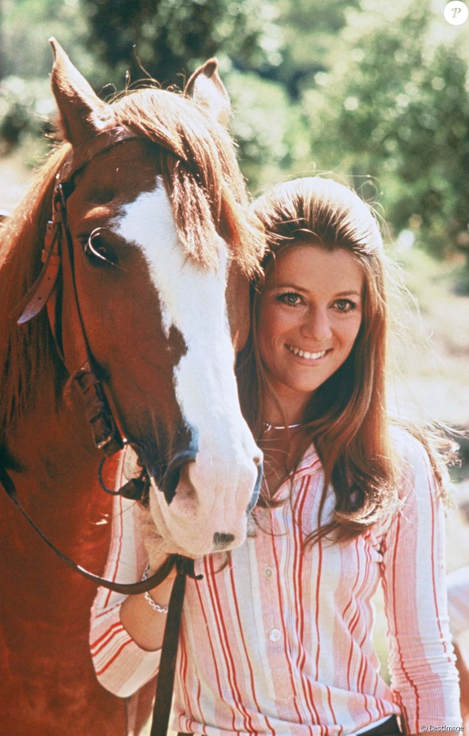 Archives - La chanteuse Sheila. Photo non datée. - Purepeople