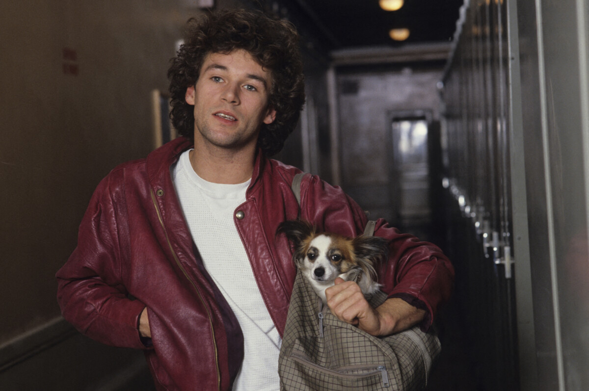 Photo : Portrait de Patrick Dupond en mars 1984. © Alain Canu via ...