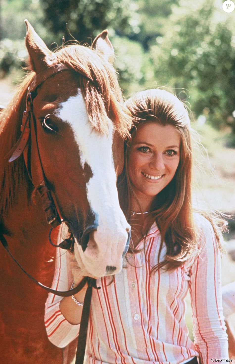Archives - La chanteuse Sheila avec un cheval. - Purepeople