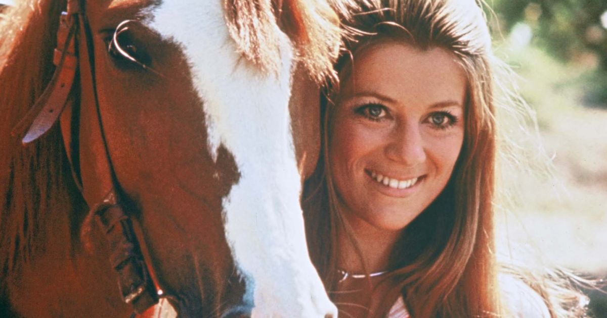 Archives - La chanteuse Sheila avec un cheval. - Purepeople
