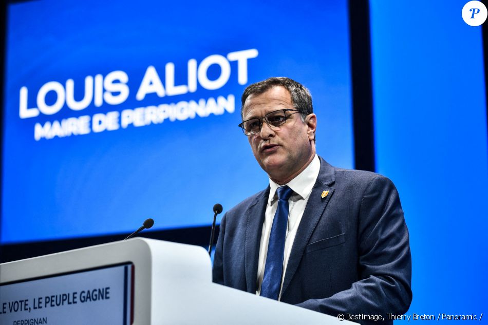 Louis Aliot, maire de Perpignan - Meeting de Marine Le Pen, candidate ...