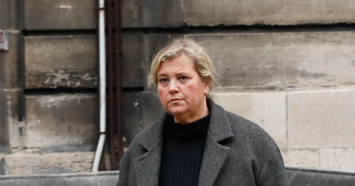Céline Lasek, l'avocate de Pierre Palmade arrive à la Cour d'appel de ...