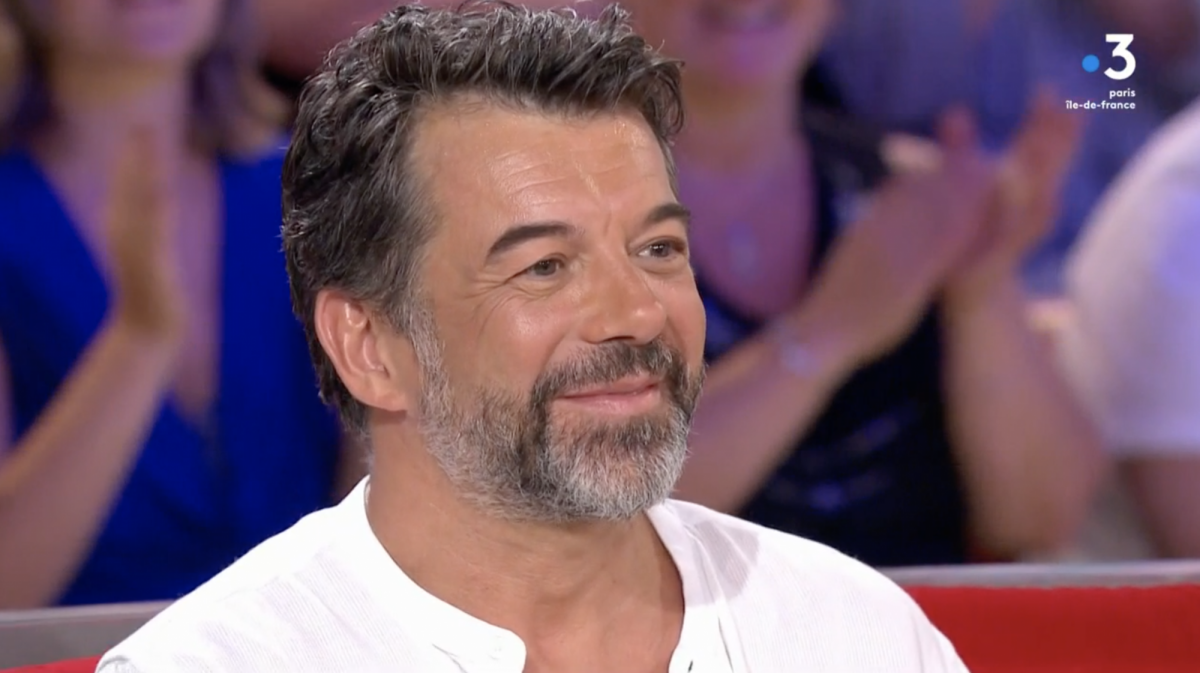 Photo : Stéphane Plaza dans "Vivement dimanche" sur France 3 - Purepeople