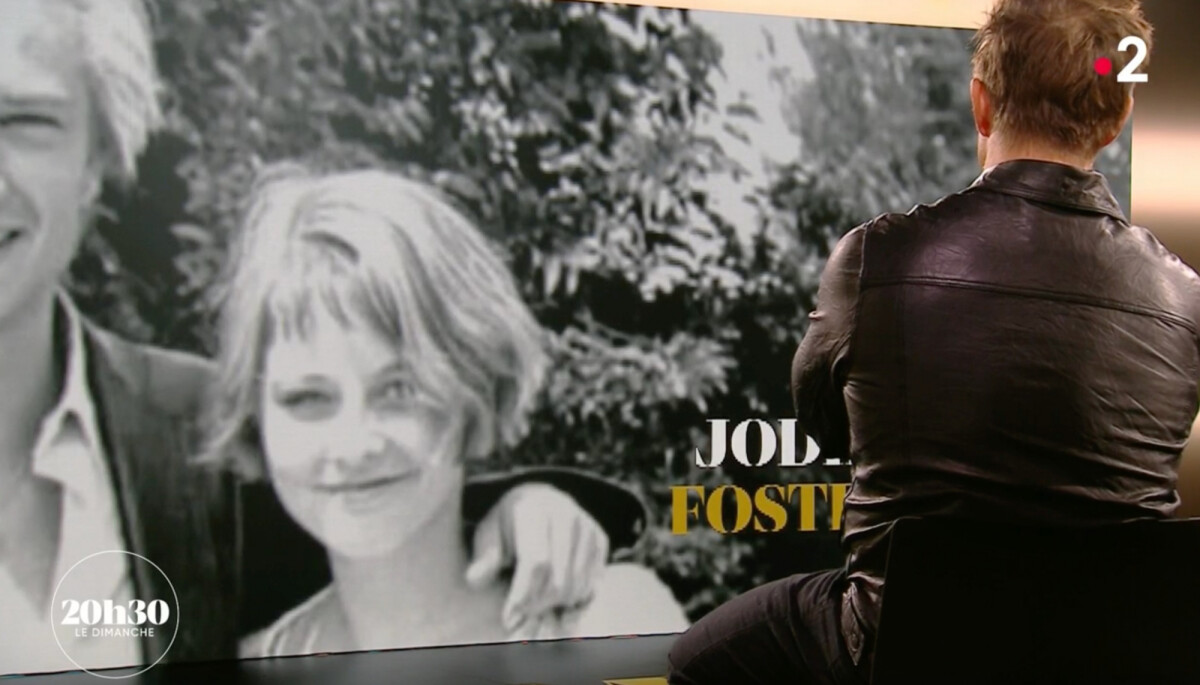 Photo : David Hallyday aux côtés de Laurent Delahousse sur le plateau ...