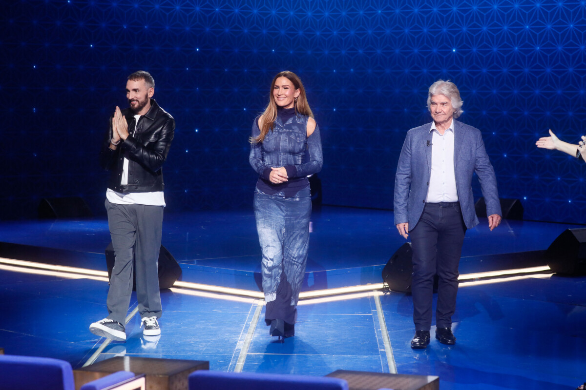 Photo : Exclusif - Christophe Willem, Vitaa, Daniel Guichard ...