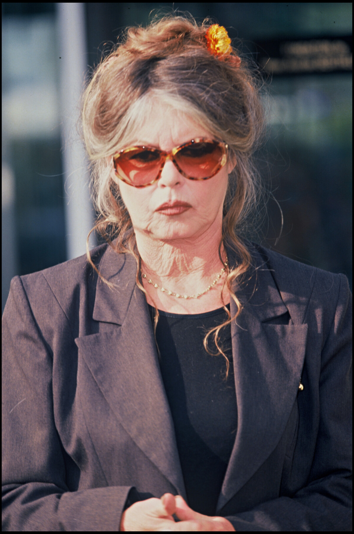 Photo : Brigitte Bardot - Purepeople