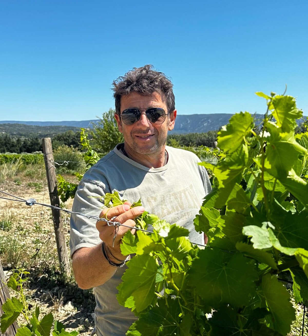 Photo : À L'Isle-sur-la Sorgue, commune où est implanté son domaine, Patrick Bruel a aussi un ...