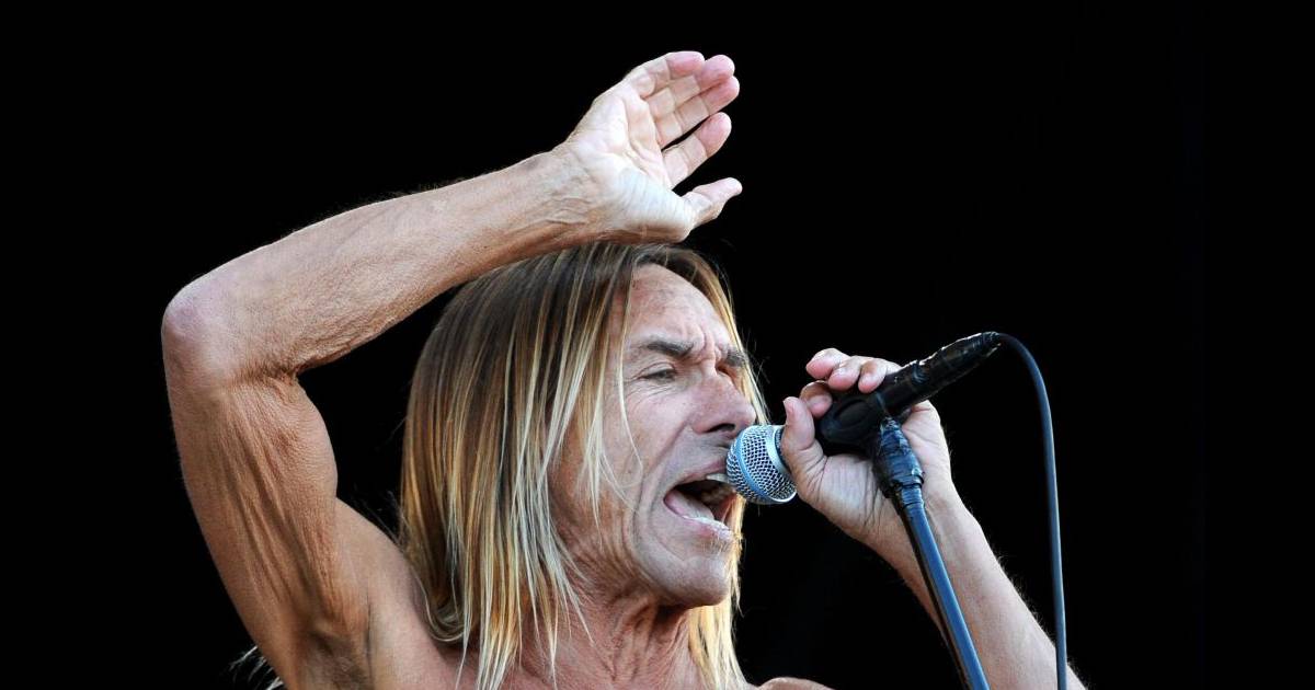 Le chanteur Iggy Pop en plein live en Angleterre, le 11 juin 2011 ...