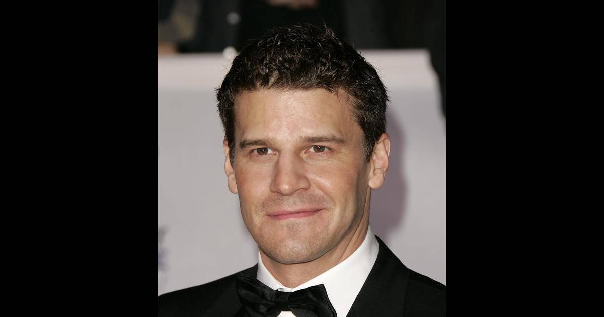 David Boreanaz - Actus, photos, vidéos, biographie… - Purepeople