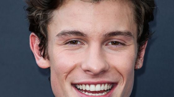 Shawn Mendes - Ode (Purepeople)