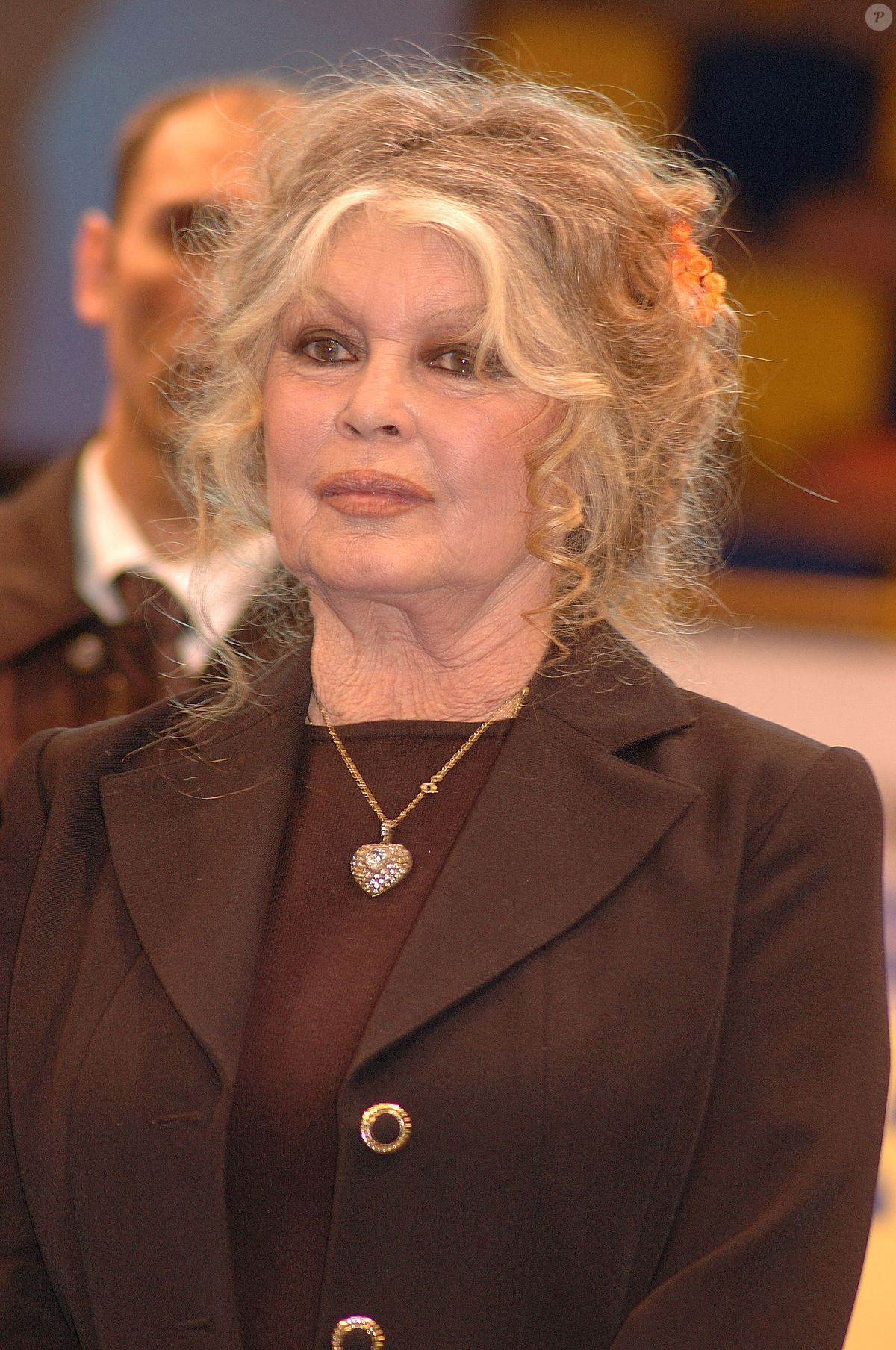 Vidéo : Brigitte Bardot prise en charge à Toulon pendant 3 semaines ...