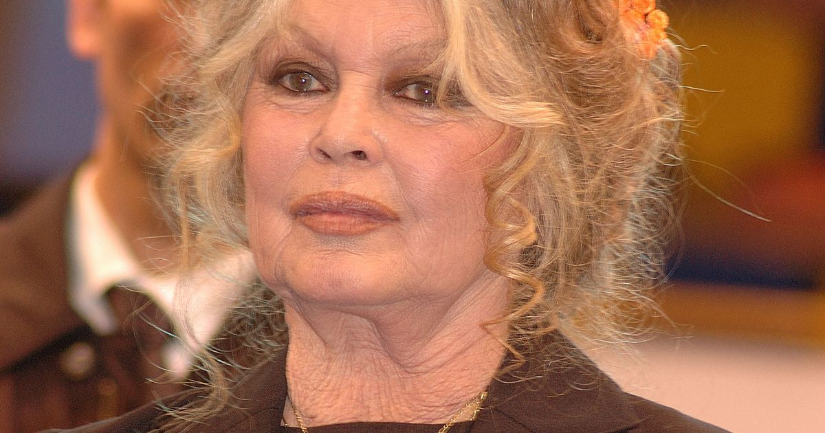 Brigitte Bardot prise en charge à Toulon pendant 3 semaines, elle donne ...