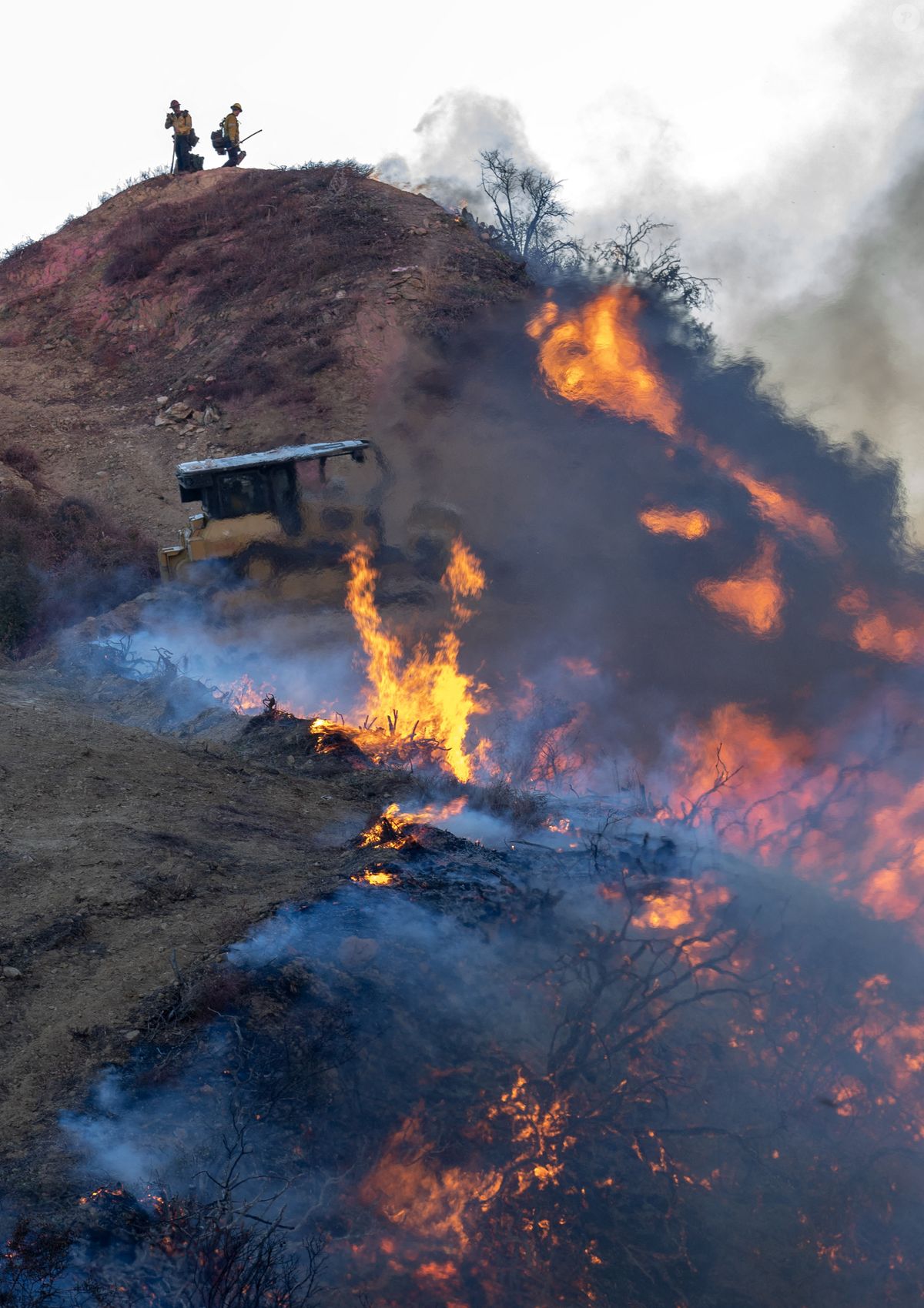 Photo : Incendies 2025 en Californie à Pacific Palisades, le 11 janvier ...