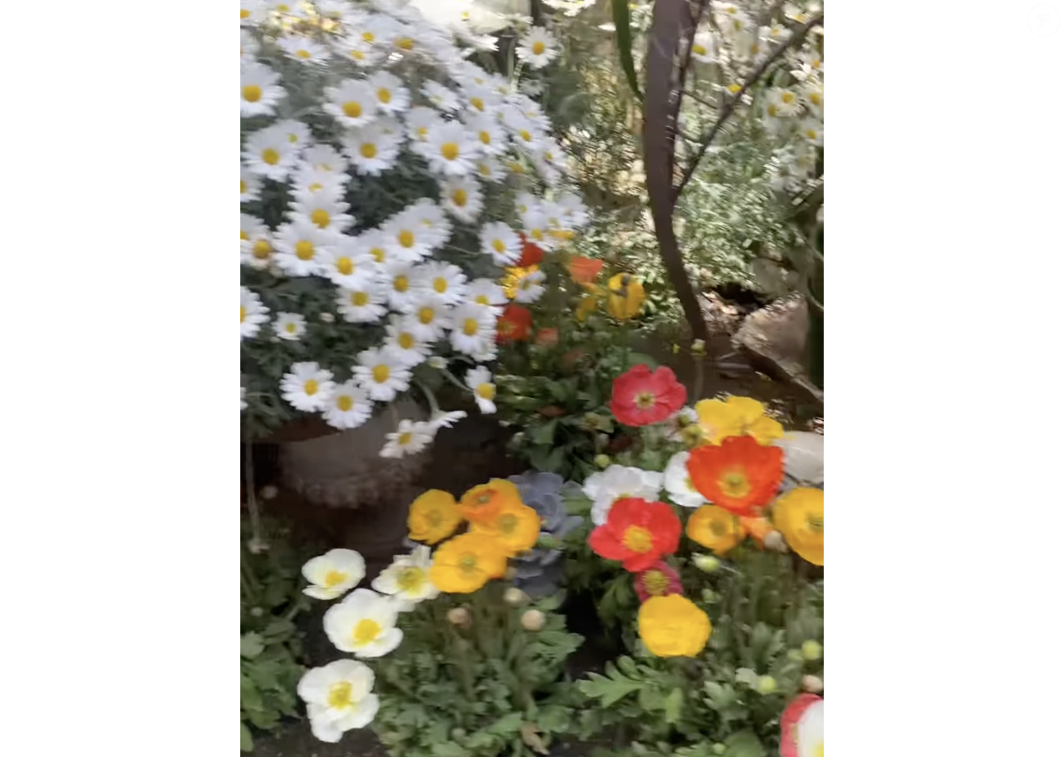 Photo : hautjardin_steevy - Purepeople