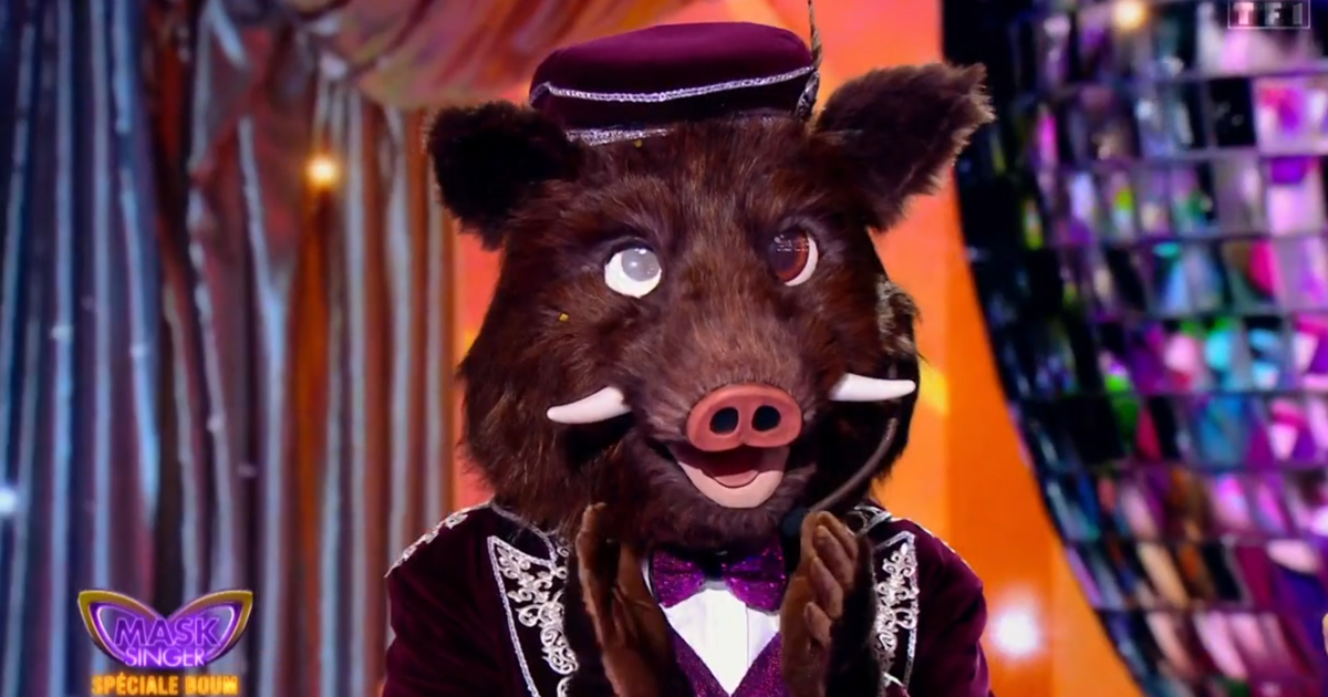 Mask Singer 9 : L'aventure est terminée pour le Sanglier, une ...