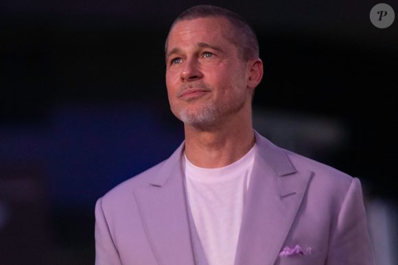 Photo : La comédien a acquis ce domaine en 2008 avec Angelina Jolie ...