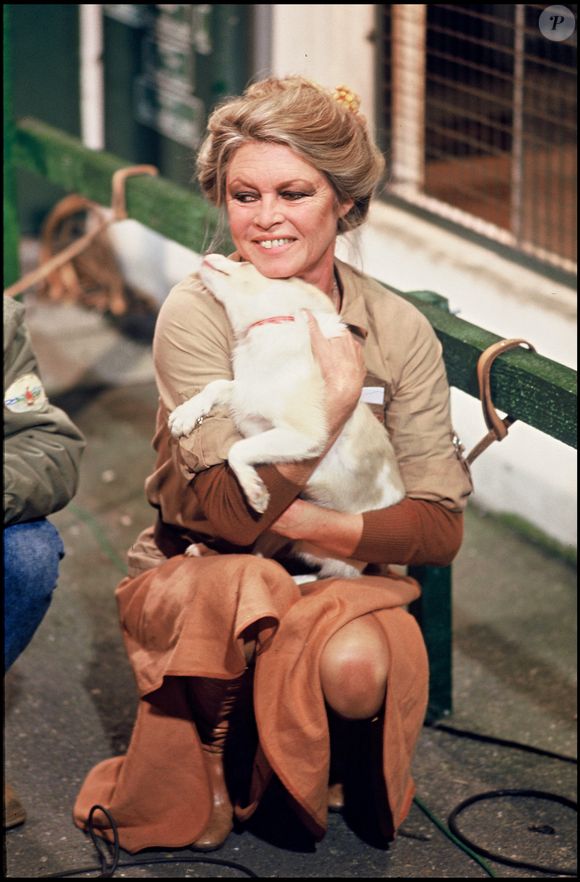 Brigitte Bardot : L'évacuation de ses animaux durant sa prise en charge ...