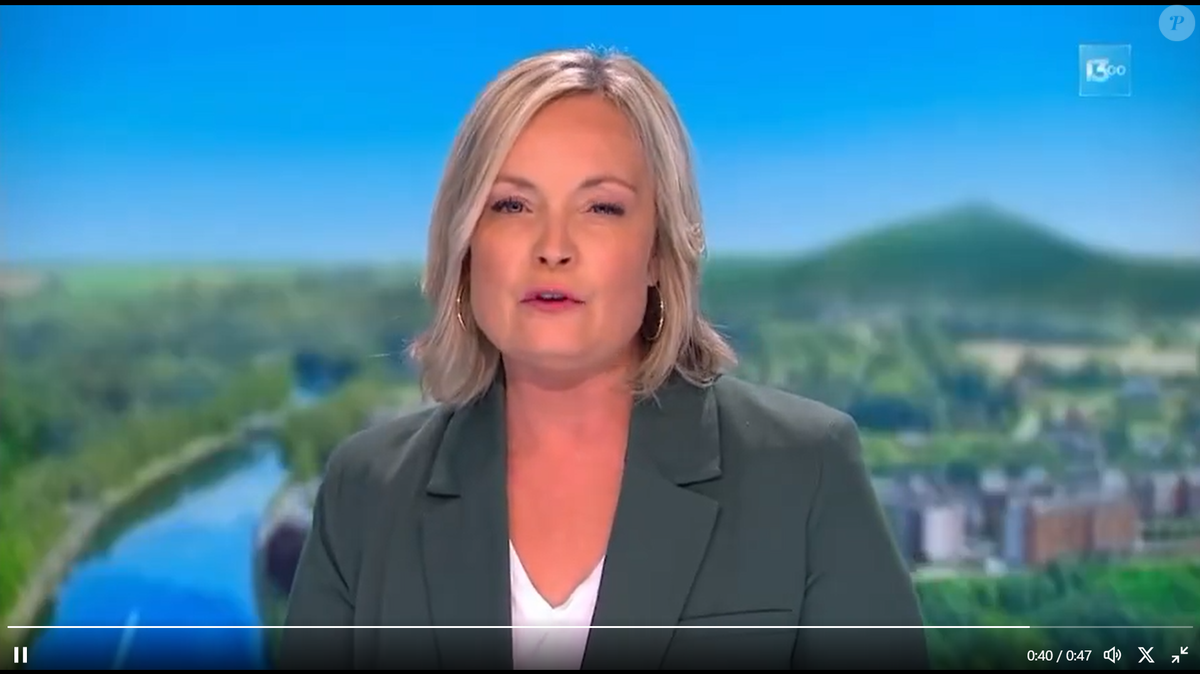 Photo : C'est à ce moment-là qu'Ophélie Fontana, présentatrice du ...