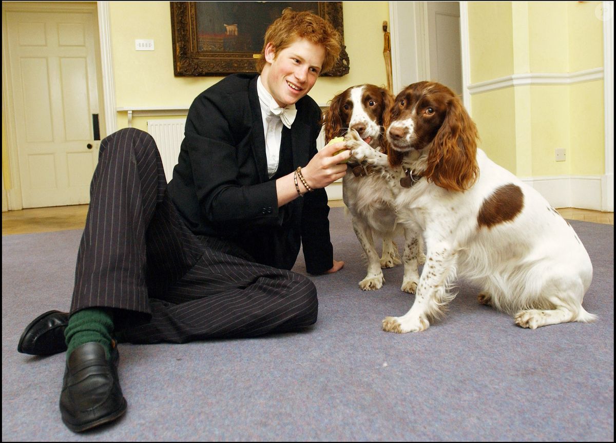 Photo : Archive du 15/10/2004 du prince Harry à Eton GOFF INF ...