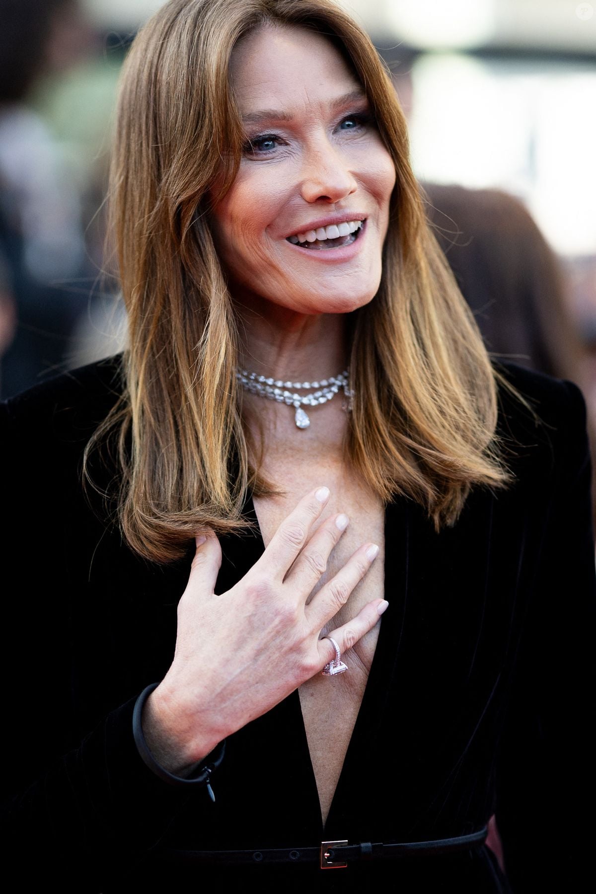 Photo : À part la musique, Carla Bruni nourrit une autre passion de ...