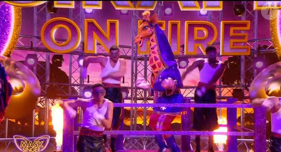 Mask Singer 2025 : La Vache, la Girafe, le Chaton... On connaît enfin ...