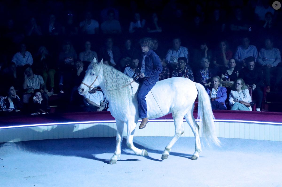 Photo : Exclusif - Alex Lutz et son cheval Mimo lors de la Première ...