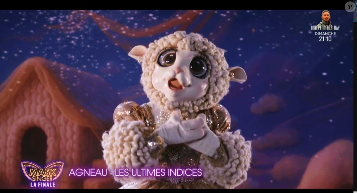 Photo : L'Agneau de Mask Singer 8, capture d'écran TF1 - Purepeople
