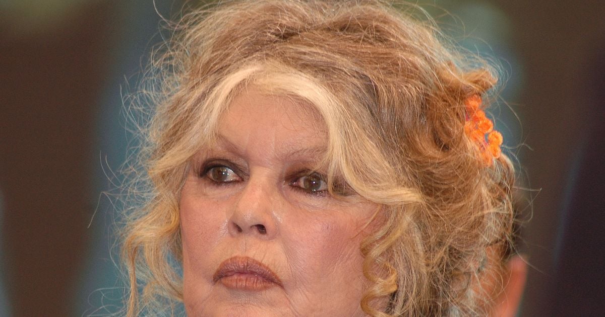Brigitte Bardot : L'évacuation de ses animaux durant sa prise en charge ...