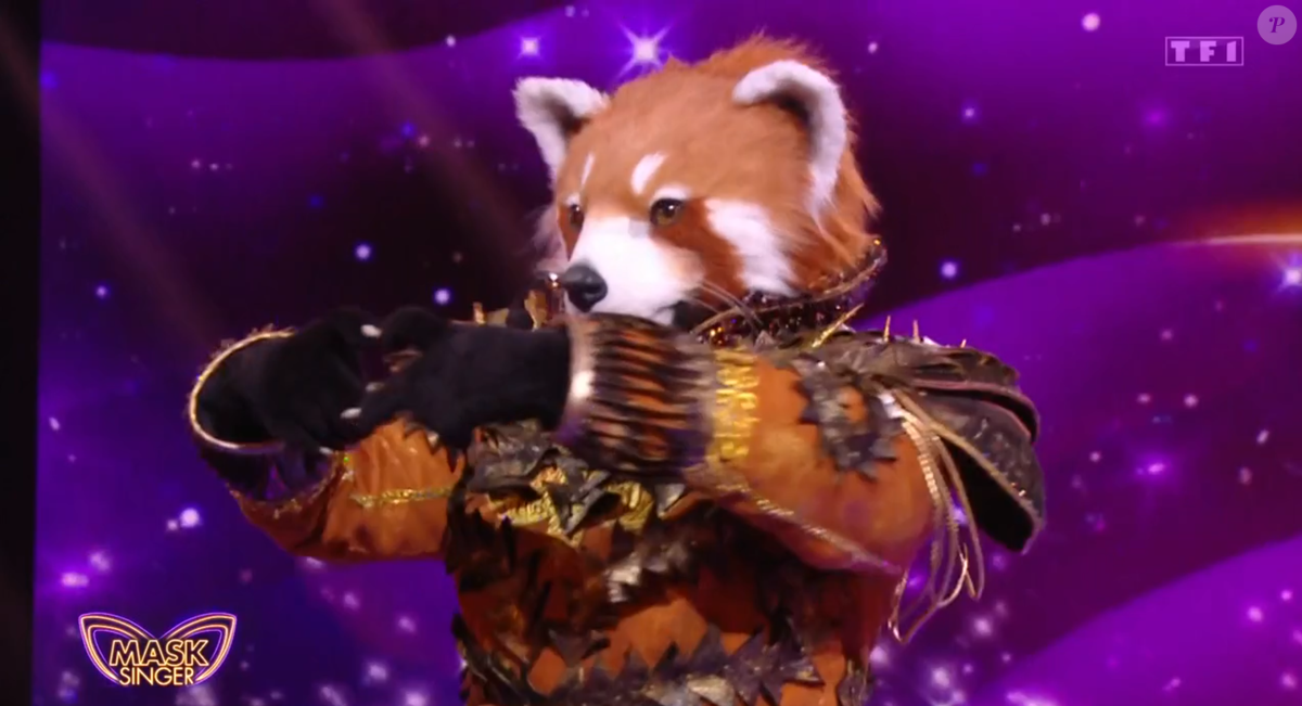 Photo : Le Panda Roux de Mask Singer, capture d'écran TF1 - Purepeople
