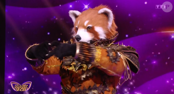 Mask Singer 2025 : C'est une fin d'aventure pour le Panda Roux, il s ...