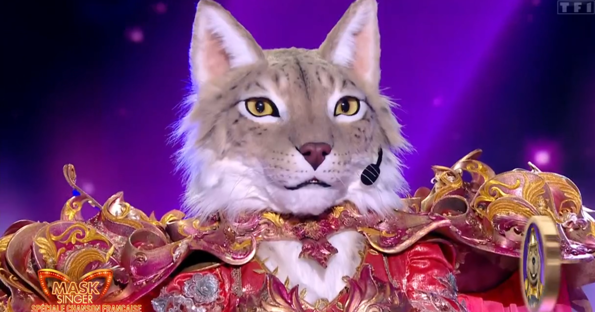 "On ne l'avait pas du tout" : Le Lynx éliminé de Mask Singer 8, les ...