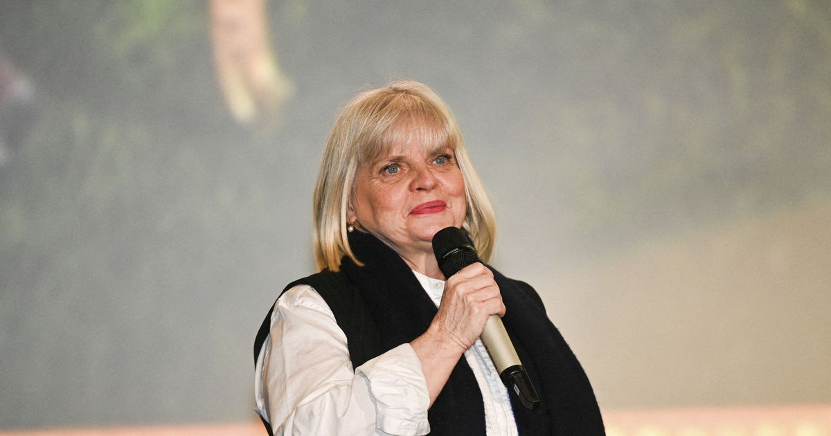 Isabelle Nanty convalescente pendant encore plusieurs semaines, la ...