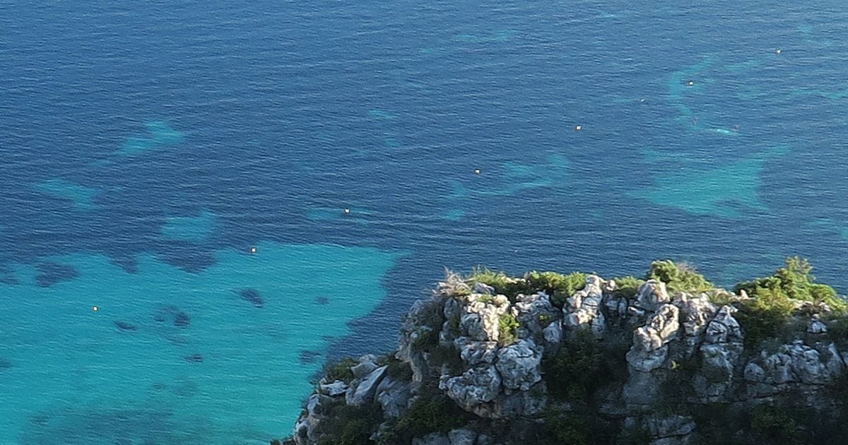 Mariage sublime entre montagne et Méditerranée, une star de la musique ...