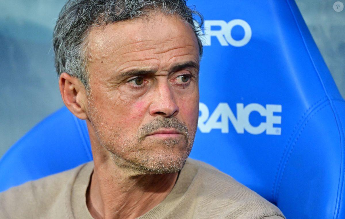 Photo : Luis Enrique - Le PSG (Paris Saint-Germain) remporte la Coupe de France 2025 en battant ...