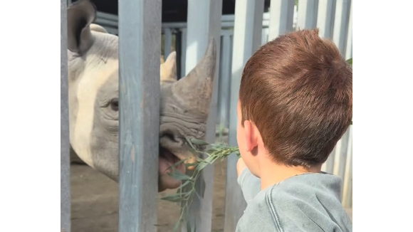 Meghan Markle et Harry : Leur fils Archie, qui a hérité de la rousseur ...