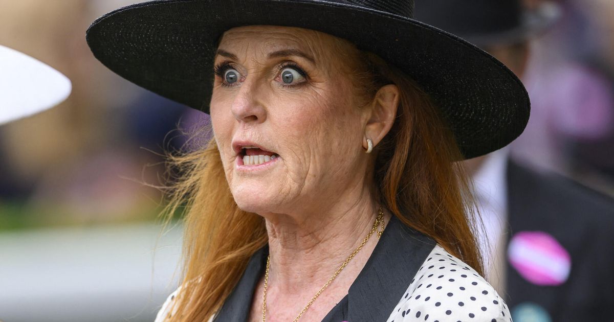 Famille royale britannique : la situation du Prince Andrew pourrait ...