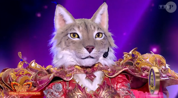 Mask Singer 8 : La deuxième star internationale démasquée, l'un de ses ...