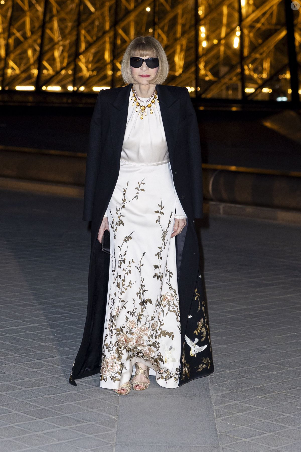 Photo : Anna Wintour - Photo Call du « Le Grand Diner du Louvre « lors ...