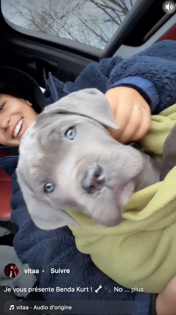 Photo : La chanteuse a adopté Kurt, un chien découvert lors d’un simple ...