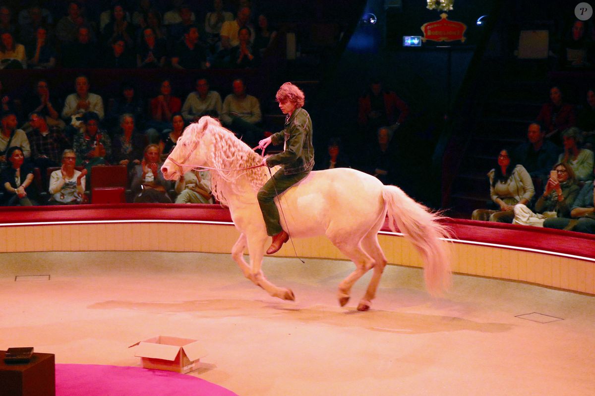 Photo : Exclusif - Alex Lutz et son cheval Mimo lors de la Première ...