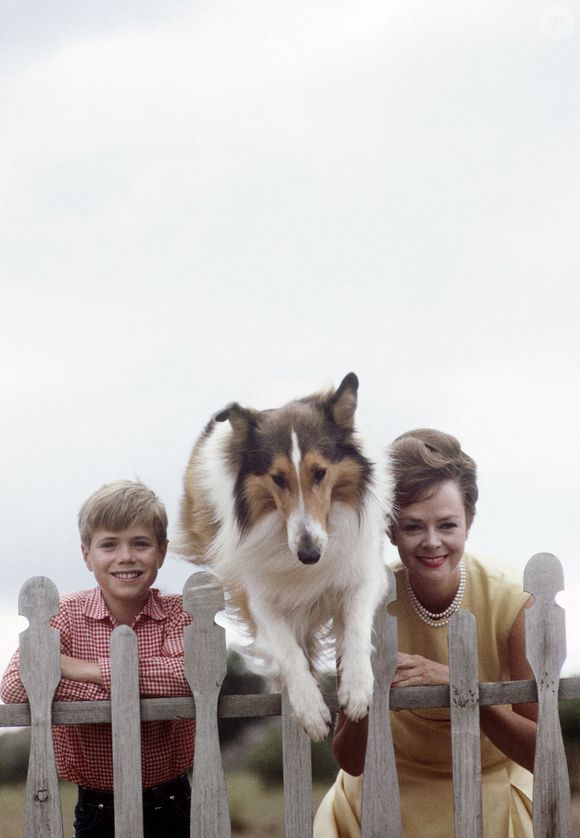 June Lockhart en images : retour sur une vie remplie de rôles cultes et ...