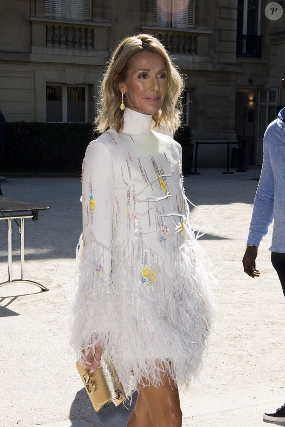 Céline Dion : son message crucial avant son grand retour sur scène à ...