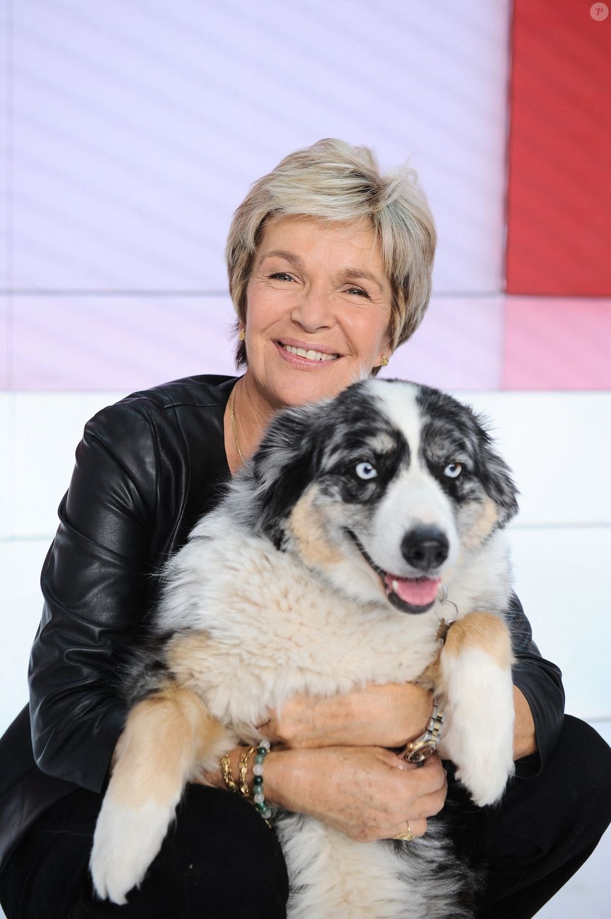 Photo : Exclusif - Véronique Jannot et sa chienne à l'enregistrement de ...