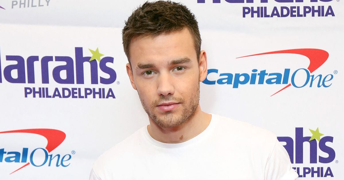 Liam Payne à la tête d’une fortune de 28 millions d’euros, on sait ...