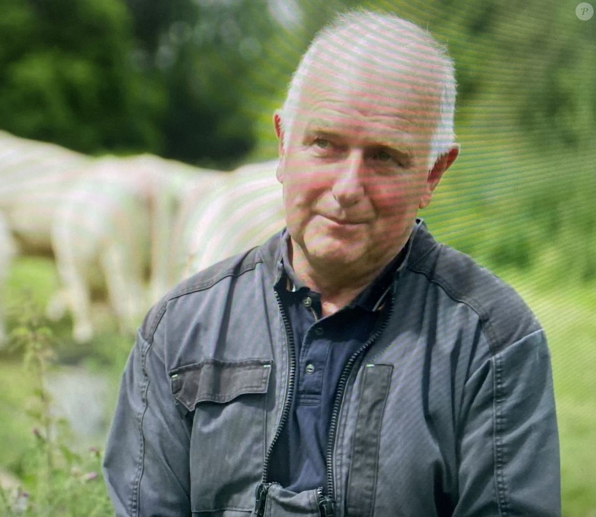 Vidéo : PORTRAIT Jean-Louis (L'amour est dans le pré 2025) s'est privé ...