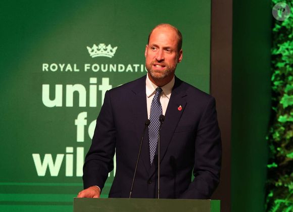 Le prince William et son choix radical de ne plus évoquer Andrew, Harry ...
