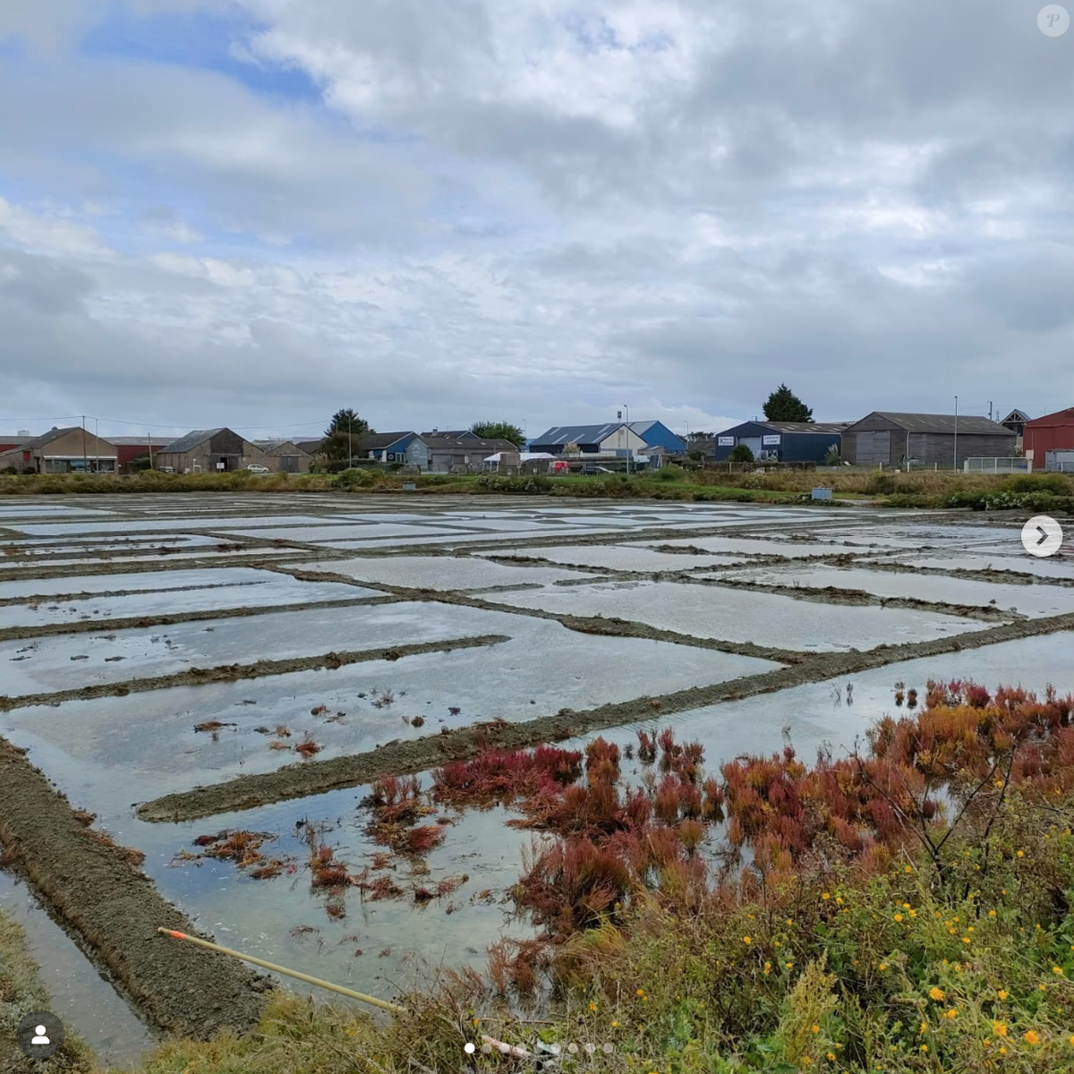 Photo : Illustration de l'île de Batz Crédit : Instagram - Purepeople