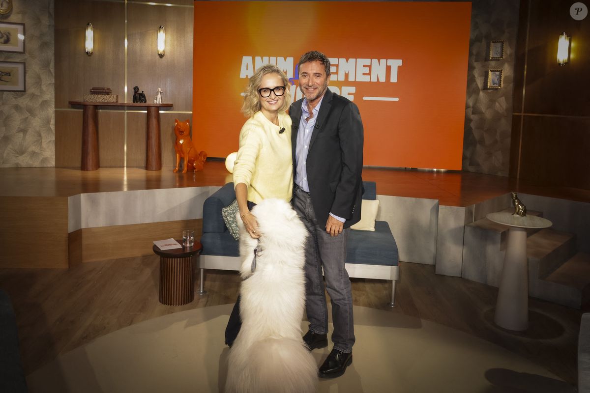 Photo : Exclusif - Caroline Roux, sur plateau de la nouvelle émission ...